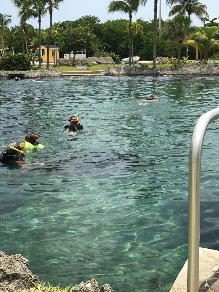 5 Things this Animal Lover Learned at the Cayman Turtle Centre ...
