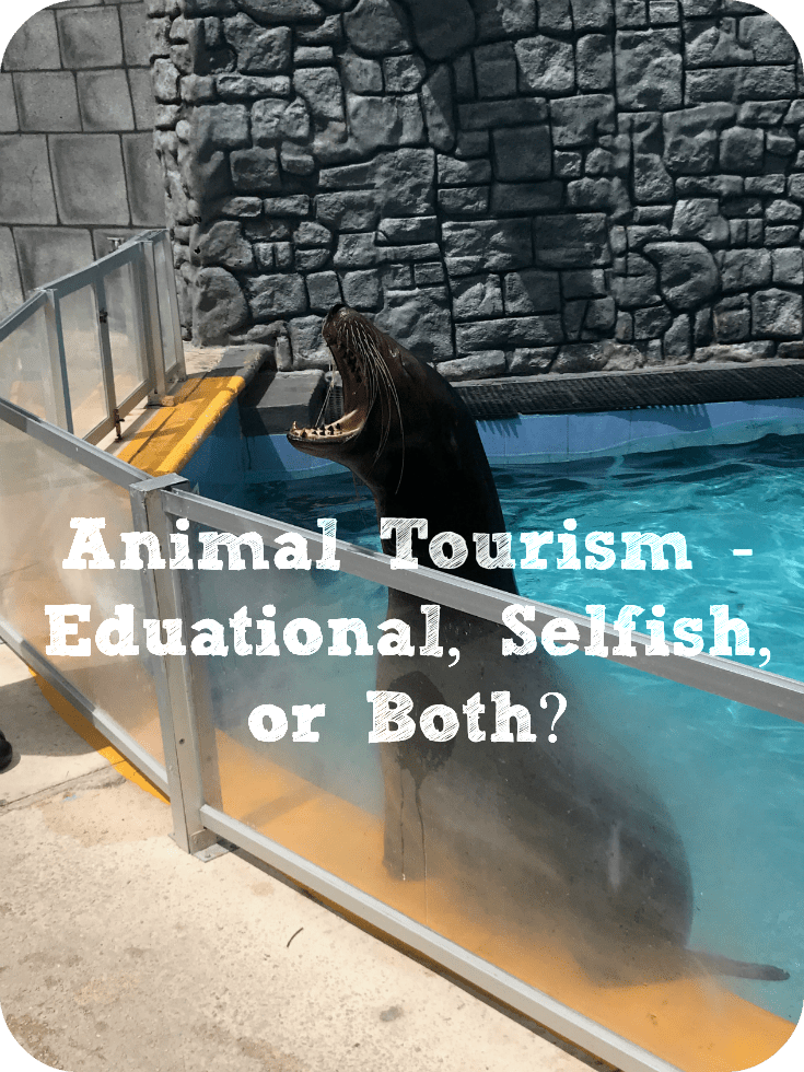 Animal Tourism - Educational, Selfish, or Both? - Finding Jillian