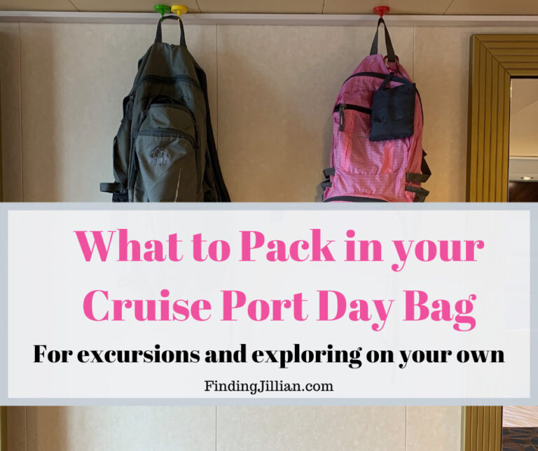 Cruise Port Day Bag - For cruise excursions- exploring on your own