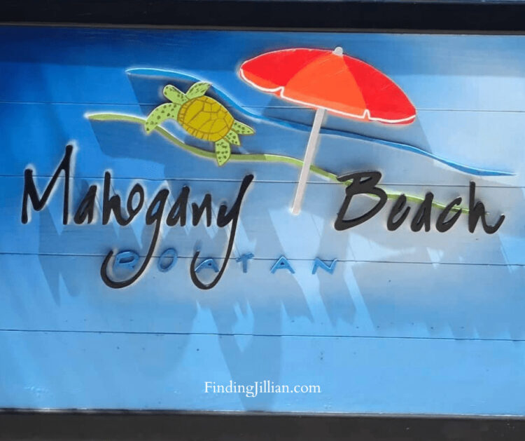 Roatan Cruise Ports - Do you Know Where You're Going? - Finding Jillian